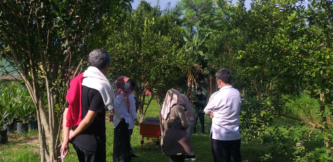 Galeri Foto
